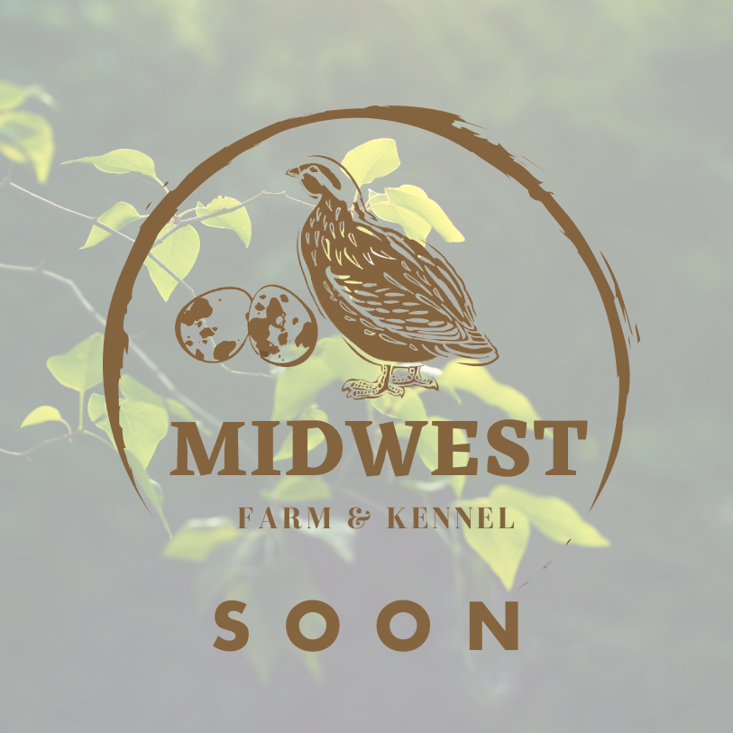 Boxer – Midwest Farm Kennel